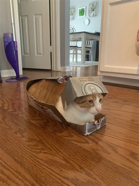 I M Invisible Scrolller