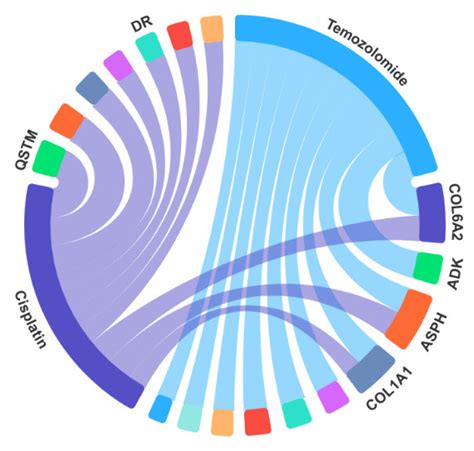 Circular Rna Drug Association Prediction Based On Multi Scale Convolutional Neural Networks And