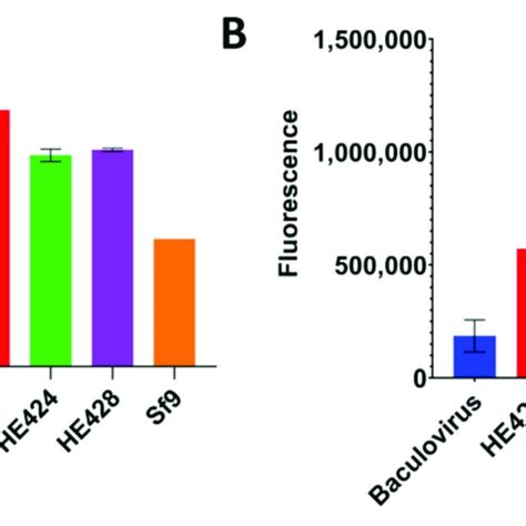 Functional Characterization Of He Gene Length Variants The Full Length
