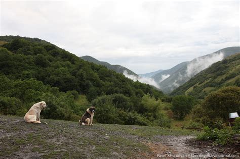 Южная Осетия ч.4: ru_travel — LiveJournal