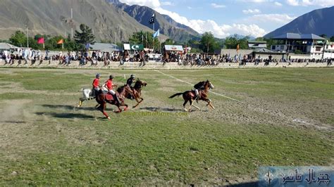 polo the sport of the hindukush by prof israr ud din chitral times