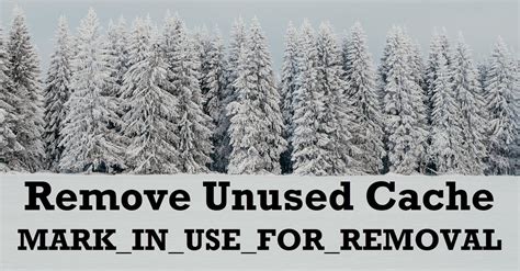 SQL SERVER Remove Unused Cache MARK IN USE FOR REMOVAL SQL Authority With Pinal Dave