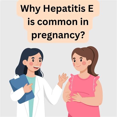 Hepatitis E In Pregnancy Clinicspots