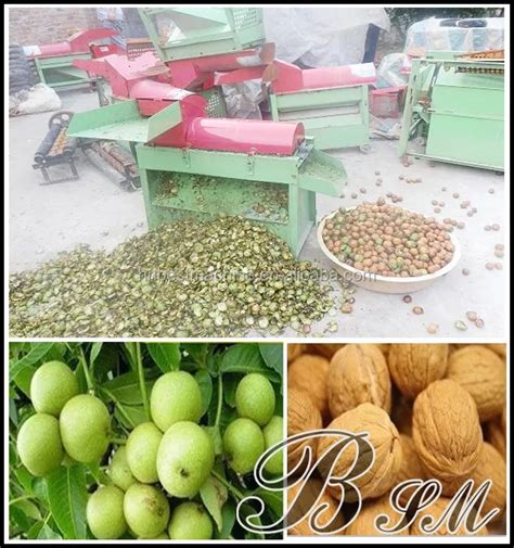 200 300kg H Pecan Cracker Sheller Pecan Nut Sheller Buy Green Walnut Sheller Almond Sheller