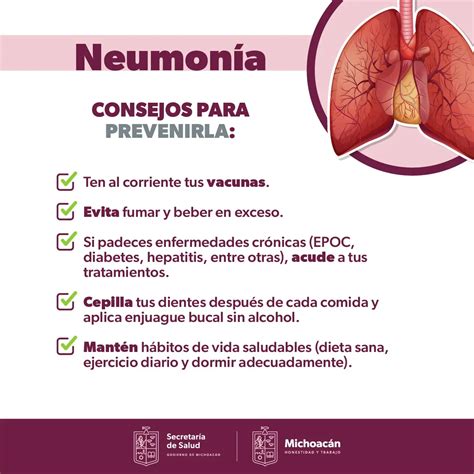 Neumonía En Conejos Causas Síntomas Y Tratamiento Gkapov