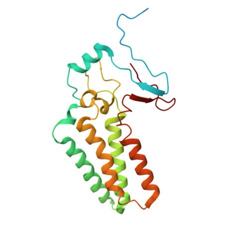 Rcsb Pdb 8iaj Cryo Em Structure Of The Yeast Spt Orm2 Orm2 S3a Complex