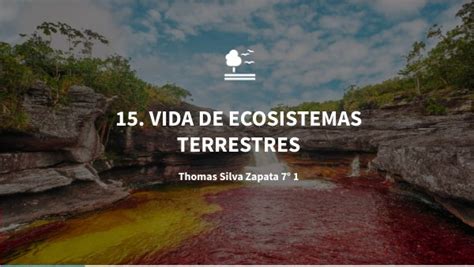 Ods Vida De Ecosistemas Terrestres Genially Ods Vida De Ecosistemas Terrestres Genially