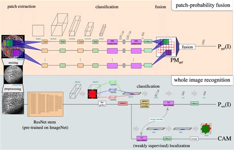 13 Comparison Of Patch Based Classification And Whole Image