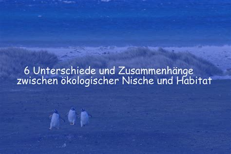 Unterschiede Zwischen Kologischer Nische Und Habitat
