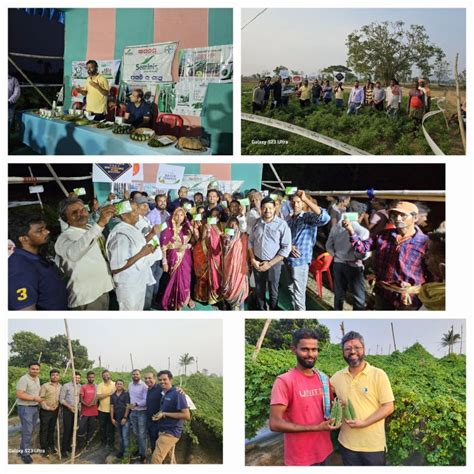 Biswajit Samal On Linkedin Agriculture Odisha Leadershipjourney