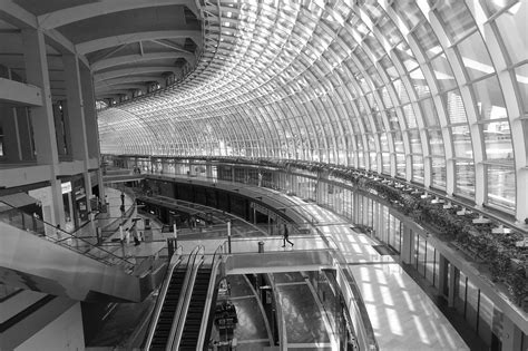 400000 Free Grayscale Background And Grayscale Images Pixabay