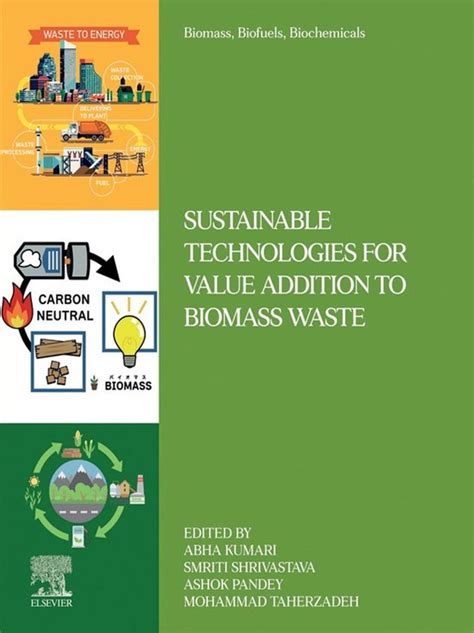 Biomass Biofuels Biochemicals Sustainable Technologies For Value