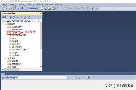 数据库文件损坏并且无备份不用慌DB Repair修复工具利器 数据库文件损坏怎么办