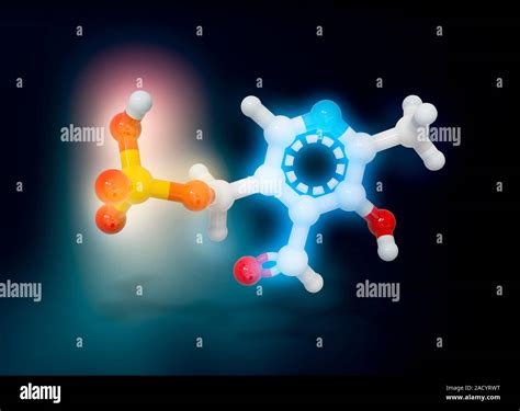 Pyridoxal Phosphate Molecule Computer Model Showing The Structure Of A Molecule Of The Coenzyme