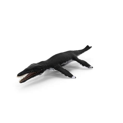 Liopleurodon Png Images And Psds For Download Pixelsquid