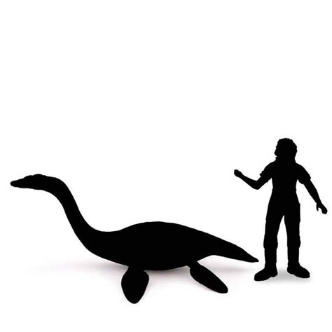 Köp Papo Plesiosaurus Dinosauriefigur