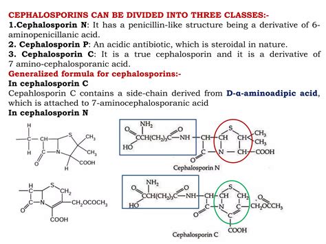 Cephalosporin Beta Lactam Antibiotic Ppt