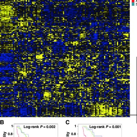 Hierarchical Clustering Of Mirna Expression In Lung Acs A Three Major