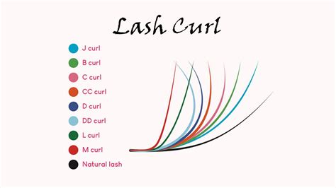 a deep dive into lash extension curls and how to use them amorelle