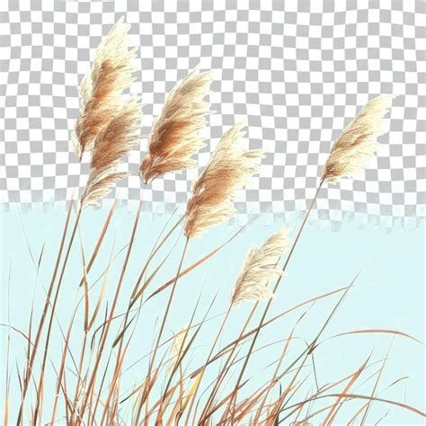 Premium Psd Grass On A Checkered Background With A Blue Background