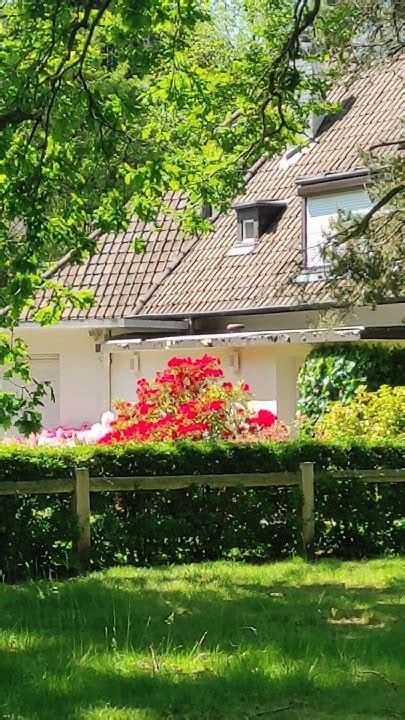 Уютный домик с садом 🥰🏡🌿 Youtube