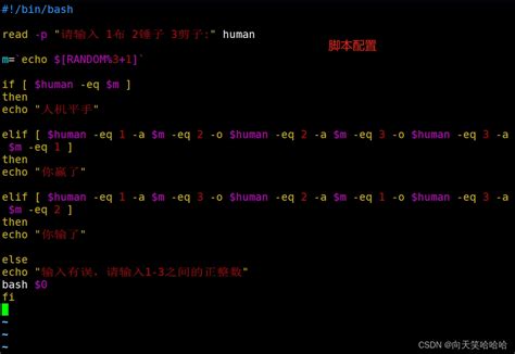 Linuxshell测试与条件语句详解 Csdn博客