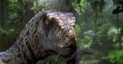 Dinosaur Sex And 4 More Of The Weirdest Erotica Novels On Amazon