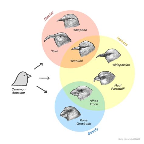 Ecological Isolation