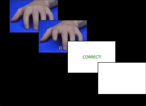 Schematic Representation Of A Congruent Practice Trial With Hand