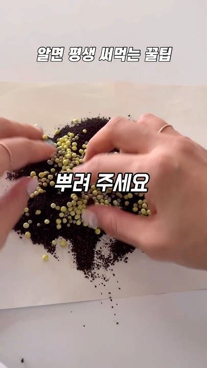 알아두면 평생 써먹는 생활 꿀팁‼️이것을 여기에👍🏻👍🏻 Youtube