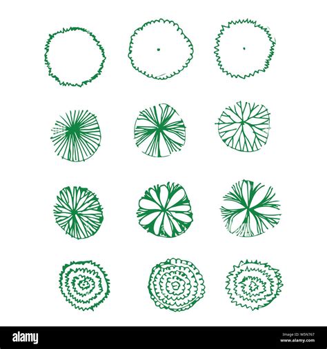 Hand Drawn Tree Icon Stock Vector Image Art Alamy