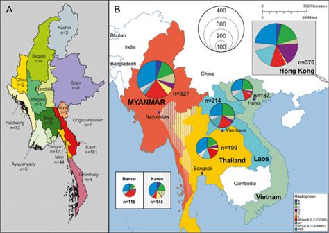 Origin Of Samples And Mitochondrial Haplogroup Distribution Of