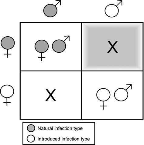 Bi Directional Cytoplasmic Incompatibility Bi Directional Ci Results Download Scientific