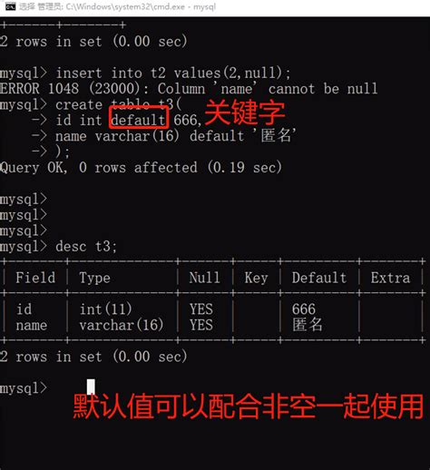 mysql数据库 字段约束条件 吴仁耀 博客园