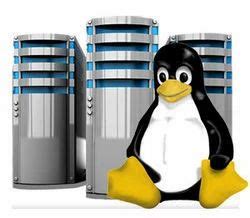 Shared Linux Hosting at Rs month लनकस सरवर हसटग linux web hosting W Services