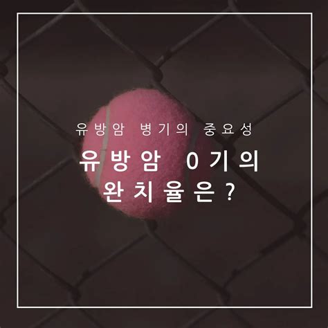 유방암 0기 1기 2기 3기 4기에 따른 치료 및 완치율 병기의 중요성