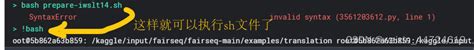 rough的下载；kaggle的路径、执行sh文件 kaggle能打开shell吗 csdn博客
