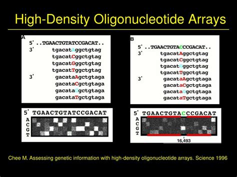 Ppt Post Transcriptional Control An Rna Centric Perspective On Gene