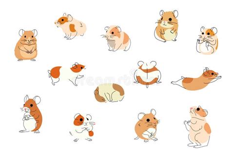 Ilustraci N Vectorial De Iconos De Mascotas De H Mster Lindo Ilustraci N Del Vector