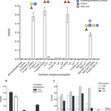 Binding Of Cnv Vlps To Synthetic Oligosaccharides A And B Cnv Strain