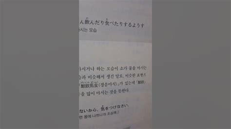 폭음폭식 Youtube