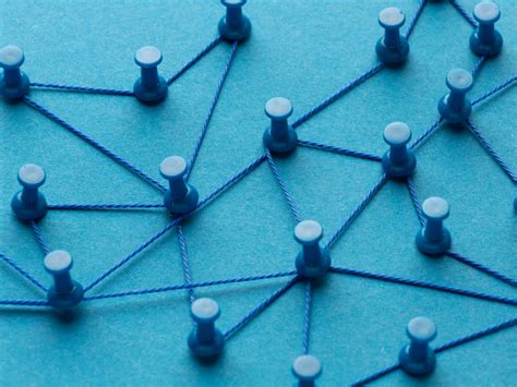 Boost Your Efficiency With Shepherds Newest Integrations