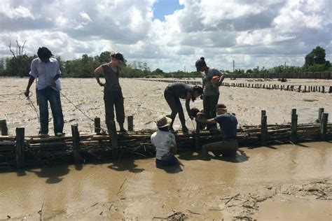 Cbf Receives 20 Million Euros Top Up For Ecosystem Based Adaptation To