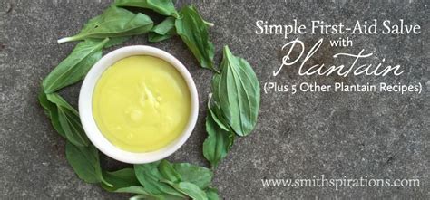 Simple First Aid Salve With Plantain Plus 5 Other Plantain Recipes