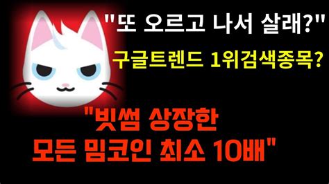 캣인어독스월드코인 빗썸 다음 10배 상승코인 밈코인을 찾고있다면 Mew를 사라 Youtube