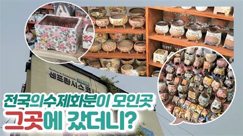 전국의 수제화분이 모여있는곳 대구 샌프란시스코 다육카페에 다녀오다 Youtube
