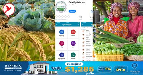 ប្រសើរណាស់ ក្រសួងកសិកម្ម បង្កើត App ថ្មី១ ជួយរកទីផ្សារឱ្យកសិករ និងអ្នកទិញទូទៅ