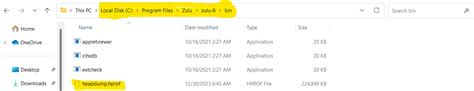 Generate Csr Heap Dump For Zulu Platform X64 Architecture Skyhigh
