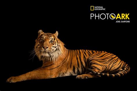 An Afternoon With World Renowned National Geographic Photographer Joel