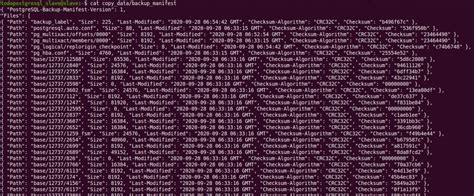 pg verifybackup La herramienta para verificar los backup físicos TodoPostgreSQL
